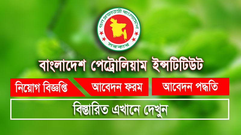 বাংলাদেশ পেট্রোলিয়াম ইন্সটিটিউট নিয়োগ বিজ্ঞপ্তি BPI Job Circular 2025
